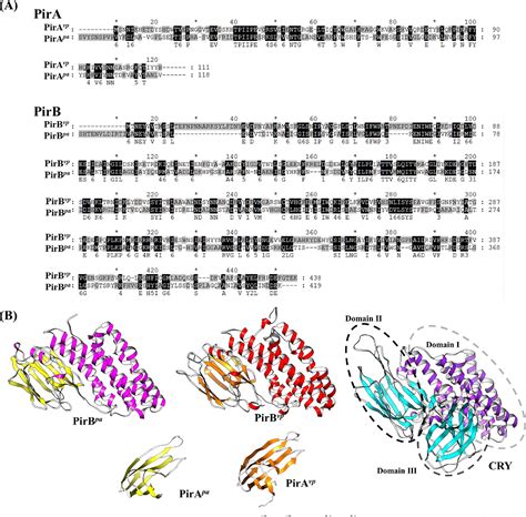 Figure 1 From A Bacterial Binary Toxin System That Kills Both Insects