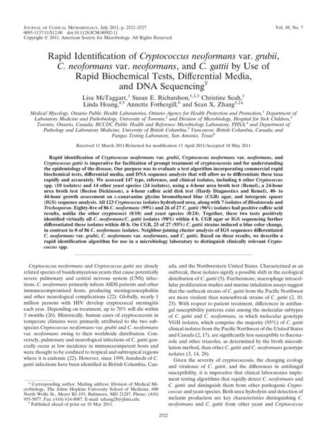 Pdf Rapid Identification Of Cryptococcus Neoformans Var Grubii C Neoformans Var Neoformans