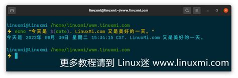 bash 中的 {} 和 有什么区别 良许linux教程网