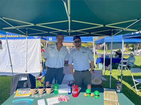 Tree Seedlings For A Greener Tomorrow Tree Topics