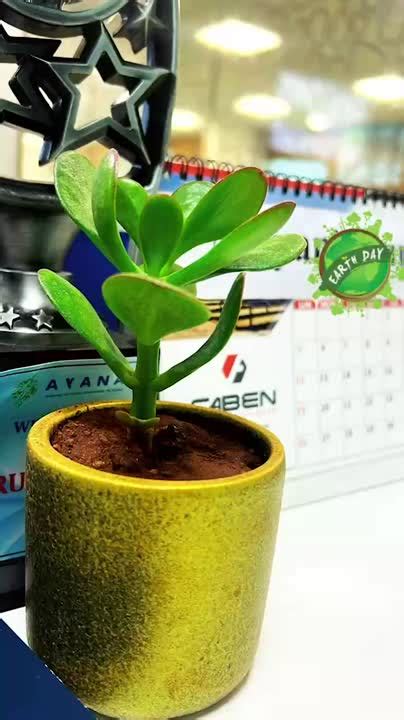 mayank roy on linkedin earthday sustainability protectourplanet