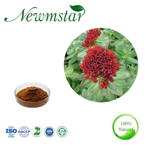 Rhodiola Rosea Extract