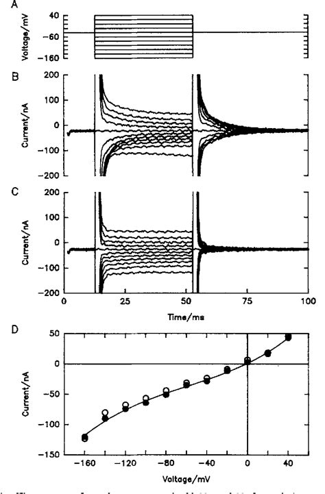 Figure 1 From Charge Movement By The Na K Pump In Xenopus Oocytes Semantic Scholar