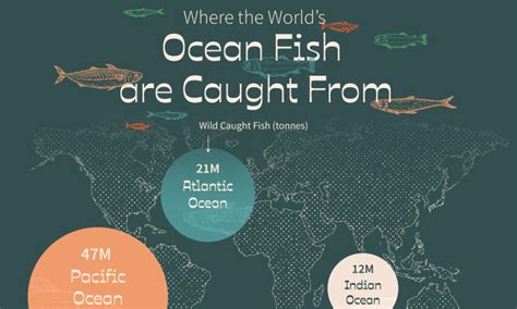 Explained How Hurricane Categories Work In One Chart
