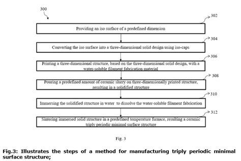 Idf No 2346 A System And A Method For Manufacturing Triply Periodic Minimal Surface Structure
