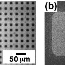 Schematic Representation Of Patterned Polymer Formation By CP Download Scientific Diagram