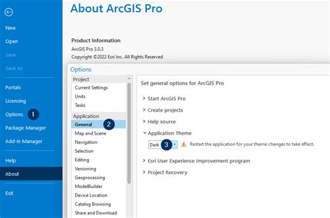 Cambiar Estilo De La Interfaz De Arcgis Pro Alidrisi Cartografía