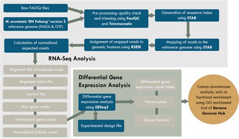 Overview Of The Bioinformatics Processes Implemented To Compare The