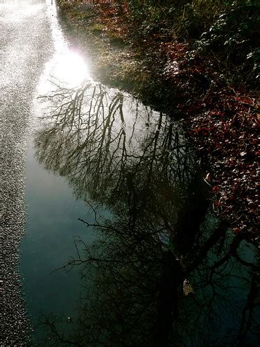 Reflection In A Roadside Puddle Cherington Flickr