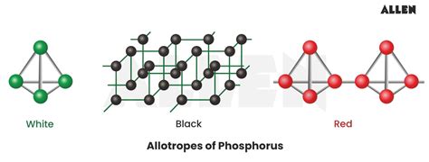 Phosphorus Allotropes Forms Comparison And Uses