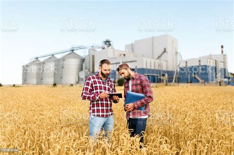 두 농민 태블릿 밀 필드에 서 경제학자 논의 수확 작물 곡물 터미널 엘리베이터와 밀의 귀 중에 배경 농부에 대한 스톡 사진 및 기타 이미지 Istock