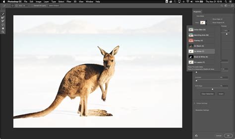 How To Smooth Edges In Photoshop After Making A Selection