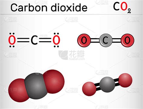 二氧化碳，二氧化碳分子。它是碳酸酐，一种单碳化合物，其中碳通过双键与每个氧原子相连。结构式化学式，分