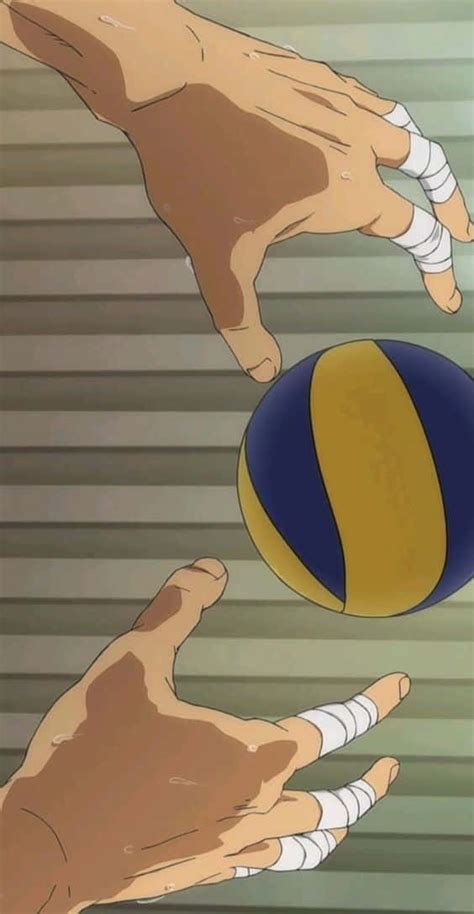 100 Cute Volleyball Wallpapers