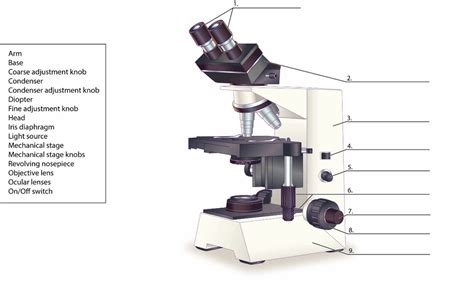 Microbio Microscope Lab Practical I Diagram Quizlet