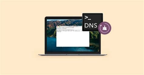如何在MacOS 清除缓存 myfreax