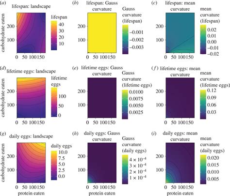 Gauss And Mean Curvatures Of Performance Traits Ac Landscape A