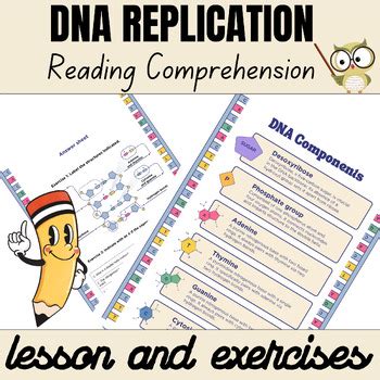 DNA Replication Reading Comprehension Worksheets By EduHAzone TPT