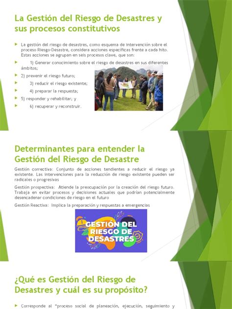 La Gestión Del Riesgo De Desastres Y Sus Pdf Riesgo Reducción De