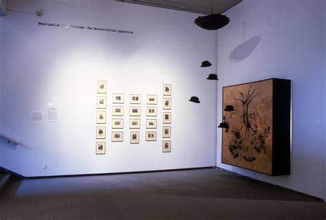 Barbara Benish Hybrid Histories Pomona Museum