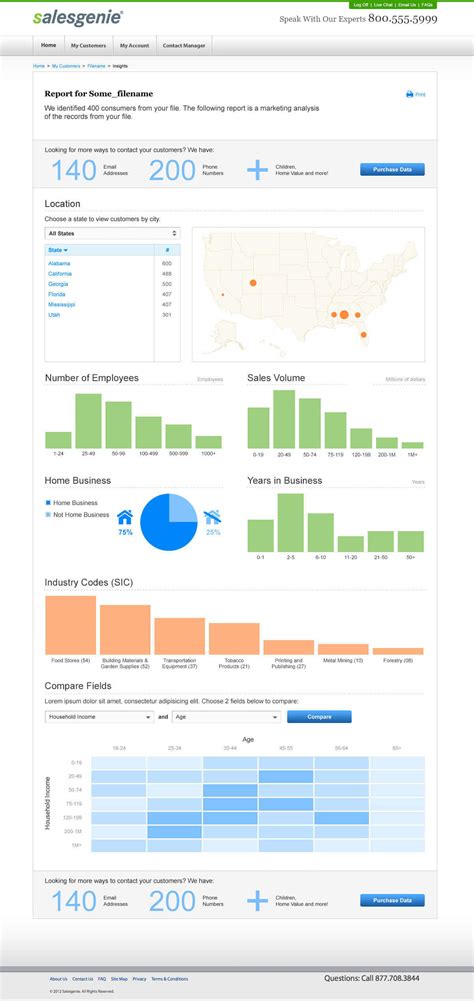 Insight Report Template