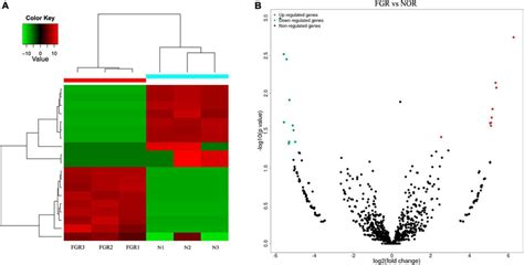 Bioinformatic Analysis Of The Results Of Circrna A Heatmap Of