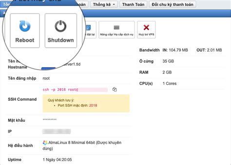 nvme vps siêu tốc nvme intel platinum x25 lần tốc độ 123host