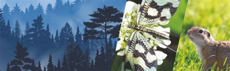 Местообитания без инвазивни чужди растения