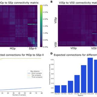 Analyses Based On The Blue Brain Project S Model Of Mouse Neocortex Download Scientific