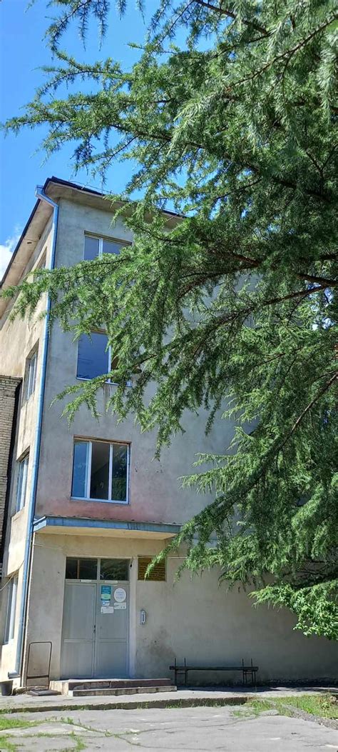 დარკვეთის საჯარო სკოლა 2024 ️