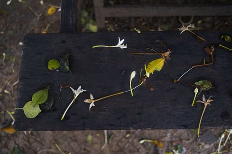 Monsoon Thailand — Jack Picone Documentary Photographer