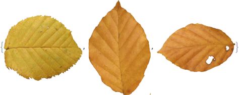 Git Permission Denied With Mutiple Github Accounts Stack Overflow