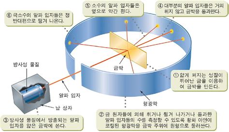 홍익정도문화원 원자핵의 발견 Daum 카페