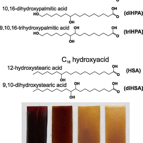 Chemical Structure Of Monomers Nomenclature Used And Polyester Appearance Download