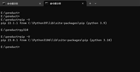 无需工具，轻松管理 Python 版本的秘诀 哔哩哔哩