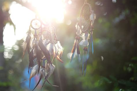 태양이 배경 Bokeh 자연에 설정에서 플레어 소프트 포커스 꿈 포 수 네이티브 아메리칸 드림 포 수입니다 Boho 세련 된 민족 부적 거미에 대한 스톡 사진 및 기타
