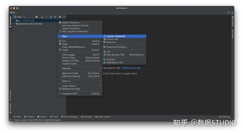再见 Jupyter Notebook Dataspell起飞! 知乎 再见 Jupyter Notebook Dataspell起飞! 知乎
