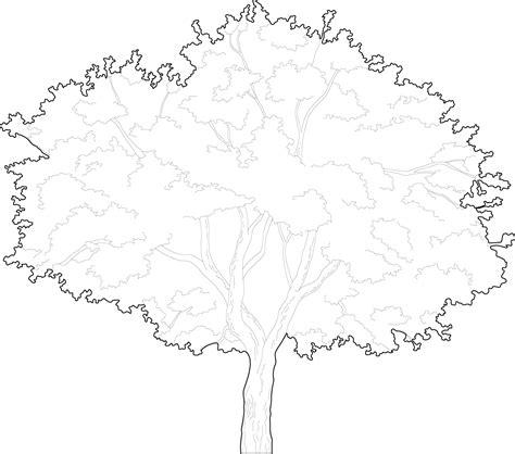 Trees Dwg Cad Blocks Free Download Artofit