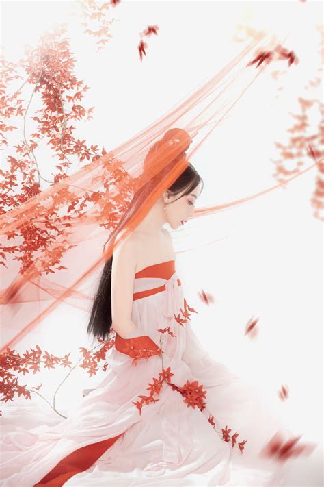 아트그림 20221221 메이플 리프 레드 스노우 트레져 V2ph