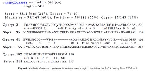 Molecular Cloning And In Silico Analysis Of Functional Homologues