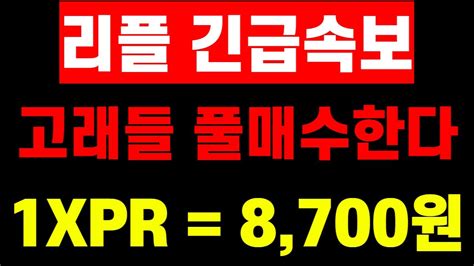 리플 고래들 미쳐 날뛴다 떡상 가자 리플속보 리플 리플코인 Youtube
