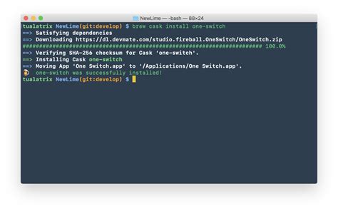 One Command To Install One Switch By Homebrew 𝚋𝚛𝚎𝚠 𝚌𝚊𝚜𝚔 𝚒𝚗𝚜𝚝𝚊𝚕𝚕 𝚘𝚗𝚎 𝚜𝚠𝚒𝚝𝚌𝚑 Roneswitch