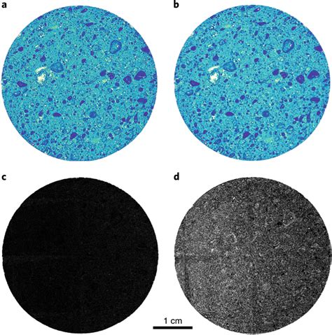 Example Xct Virtual Slices Of A Sample Before And After A Download