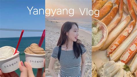 양양여행 브이로그 강릉 찍먹하고 핫플가기〰️ Youtube