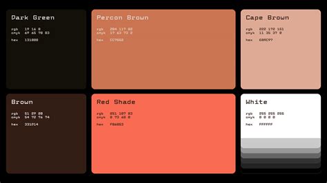 Percon Rebrand Proposal Behance