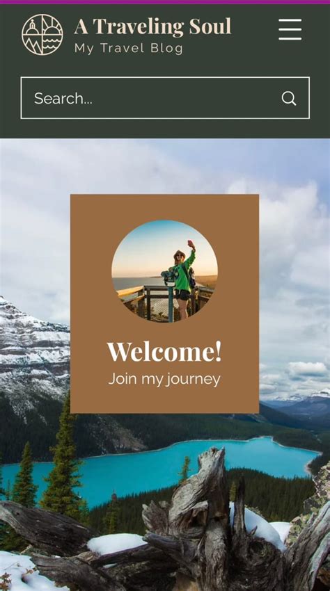 Create Shopify Store Design Shopify Website Redesign By Ava James Fiverr