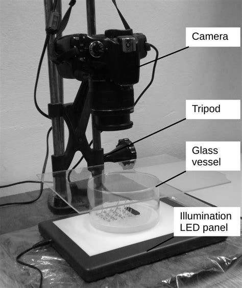 The Laboratory Setup For Precise Automatic Detection In Laboratory