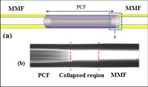 A The SMF PCF SMF Sensor S Schematic Diagram B The SMF PCF Fusing