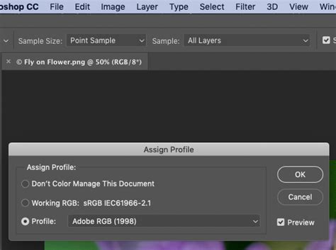Solved Embedded Color Profile In Png Adobe Community