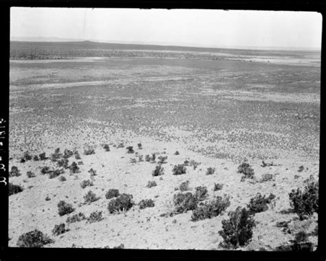 Juniper Gutierrezia Lava Juniper View North · Special Collections